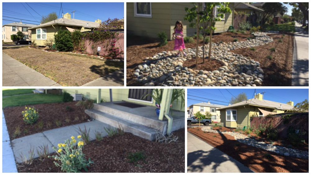 BURBANK BOTANICAL LANDSCAPING - Updated December 2025 - Castro Valley ...