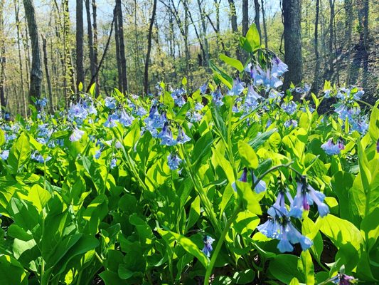 POWDER VALLEY CONSERVATION NATURE CENTER - 199 Photos & 42 Reviews ...