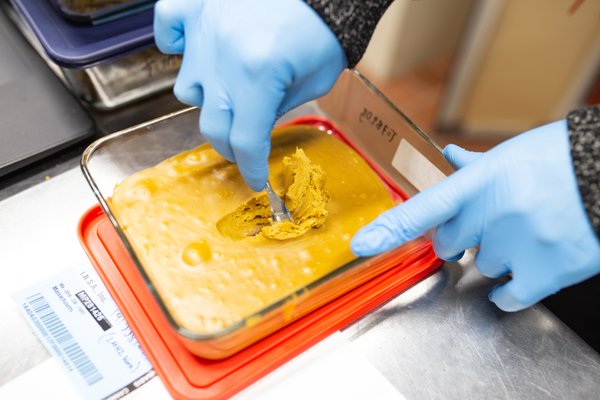 INSA CANNABIS DISPENSARY - SALEM - Updated November 2025 - 30 Photos ...