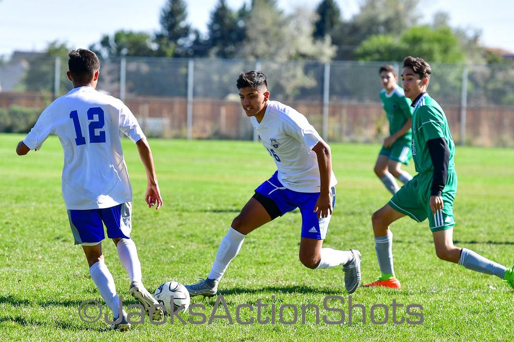 JACKS ACTION SHOTS - Updated January 2026 - Request a Quote - 19 Photos ...