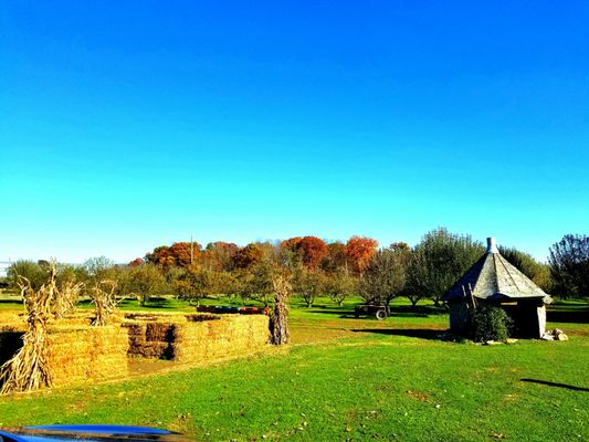 PRINGLES ORCHARD - Updated October 2025 - 11 Photos & 10 Reviews - 2697 ...