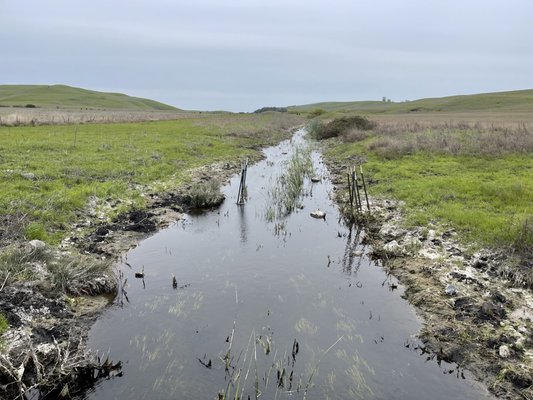 TOLAY LAKE REGIONAL PARK - Updated October 2025 - 143 Photos & 12 ...