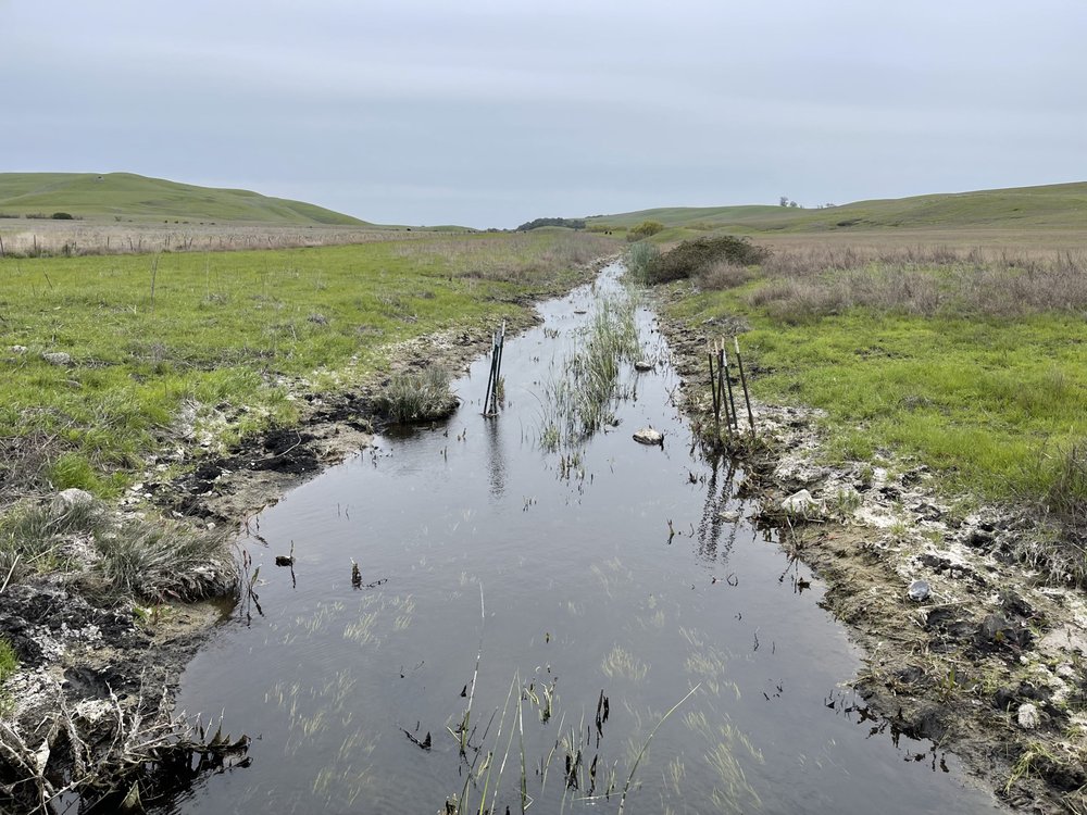 TOLAY LAKE REGIONAL PARK - Updated October 2025 - 143 Photos & 12 ...