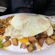 THE STILLY DINER - 260 Photos & 346 Reviews - American (Traditional ...