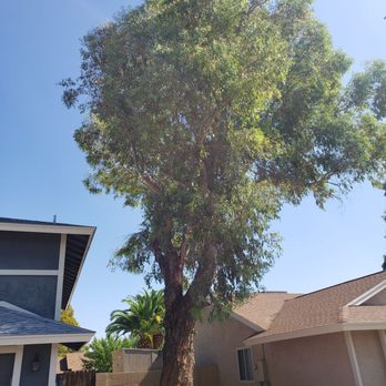 HAPPY TREE LANDSCAPING - Updated May 2025 - 143 Photos & 74 Reviews ...