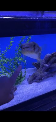 AQUATICS UNLIMITED - Updated November 2025 - 27 Photos & 53 Reviews ...