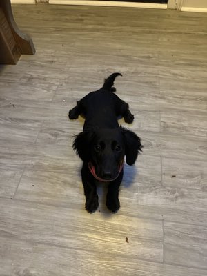 POOCH HOTEL NEWTON - Updated October 2025 - 41 Photos & 110 Reviews ...