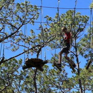 TREEUMPH! ADVENTURE COURSE - 156 Photos & 148 Reviews - 21805 E State ...