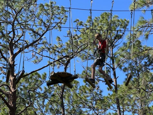 TREEUMPH! ADVENTURE COURSE - Updated October 2025 - 173 Photos & 166 ...