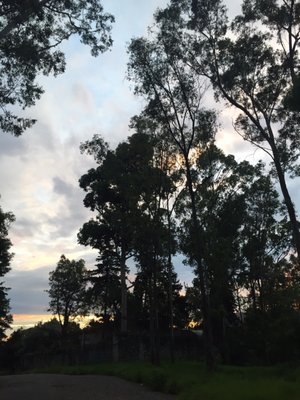 BOSQUE DE TLALPAN - Updated May 2024 - 13 Photos & 10 Reviews - Parque ...
