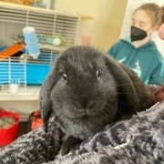 ROSE BRIDGE FARM & SANCTUARY - 112 Photos & 48 Reviews - 1314 N ...