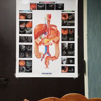 GASTROINTESTINAL SPECIALISTS AMC - Updated December 2025 - 13 Photos ...