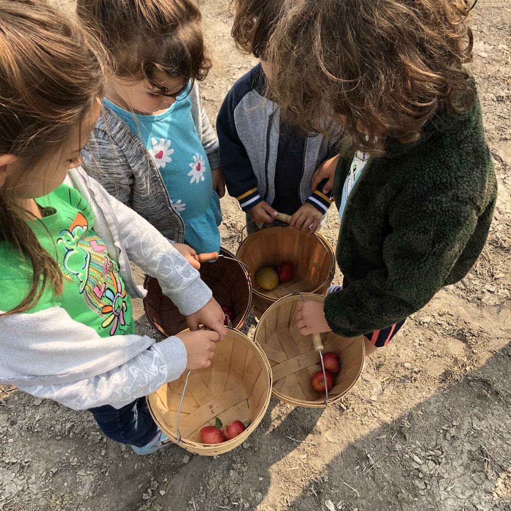 ADAM’S APPLE ORCHARD & COUNTRY STORE - Updated August 2025 - 42135 Weld ...