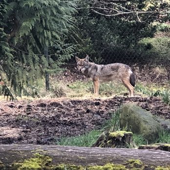 Photos of POINT DEFIANCE ZOO & AQUARIUM - Updated August 2024 - 1522 ...