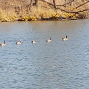 WEST RIDGE NATURE PARK - 155 Photos & 19 Reviews - 5801 N Western Ave ...