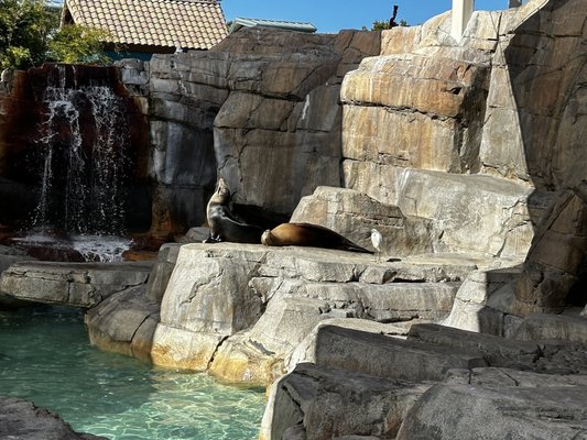 SEAWORLD- SEA LION POINT - Updated October 2025 - 500 Sea World Dr, San ...