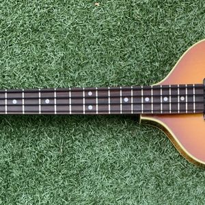 PMT MANCHESTER - Updated March 2025 - 16 Photos - Regent Road, Salford ...