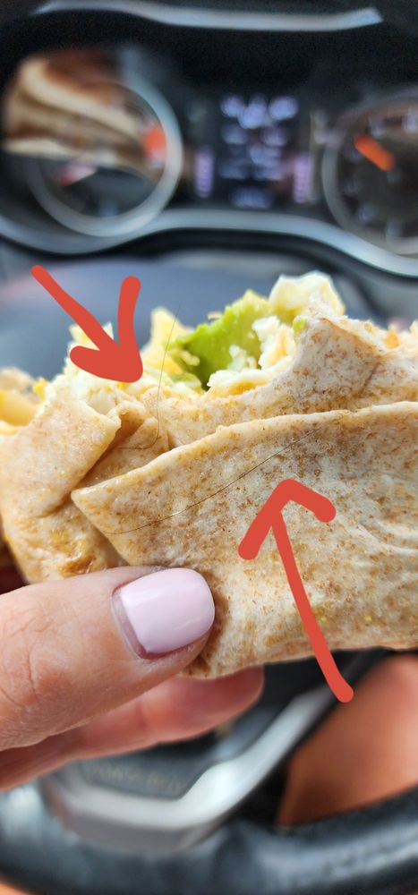 BAGEL BASKET CAFE - Updated January 2026 - 24 Photos & 121 Reviews ...