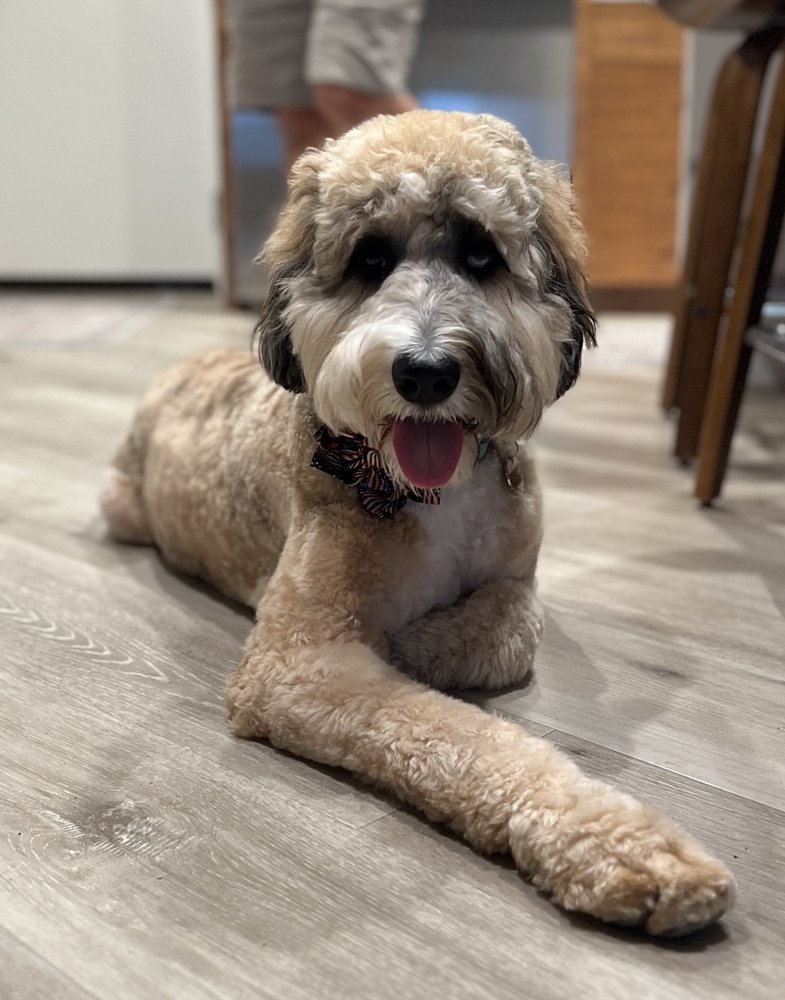 FOXY LIKE ROXY - Updated October 2025 - 205 Photos & 74 Reviews - Norco ...