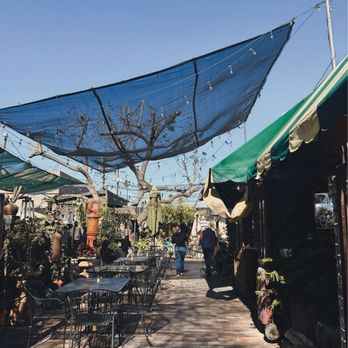 BACKSTREET - Updated June 2025 - 390 Photos & 545 Reviews - 3735 Nelson ...