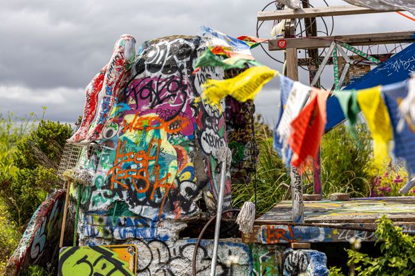 ALBANY BULB - Updated August 2025 - 1000 Photos & 248 Reviews - 1 ...