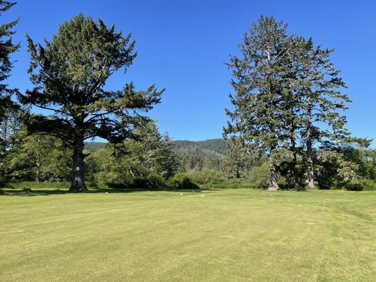 SEASIDE GOLF COURSE - Updated March 2025 - 38 Photos & 38 Reviews - 451 ...