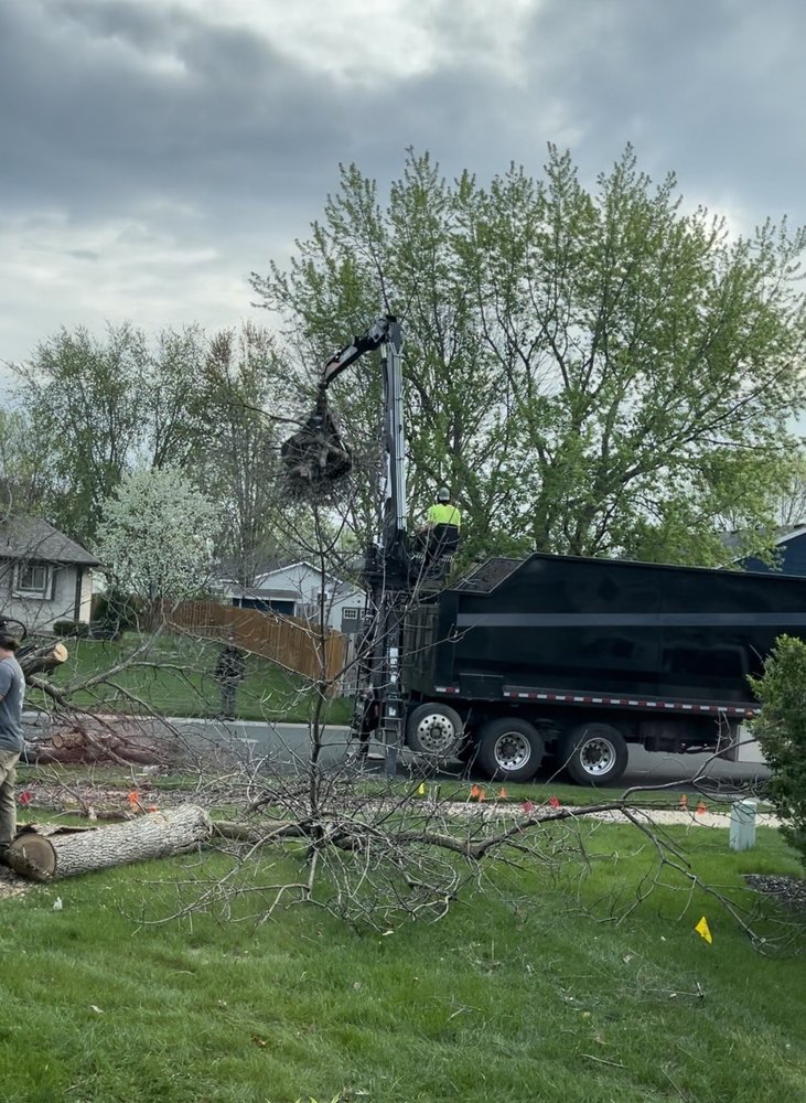 MILLER TREE SERVICE - Updated July 2025 - 10080 140th St E, Hastings ...