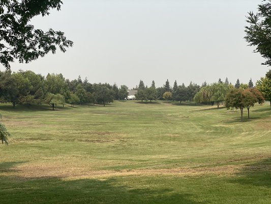 DEL LAGO PARK - Updated July 2025 - 66 Photos & 13 Reviews - 1700 N ...