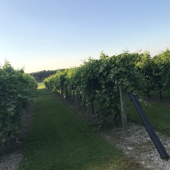 MATUS WINERY - Updated December 2025 - 15 Photos & 23 Reviews - 15674 ...