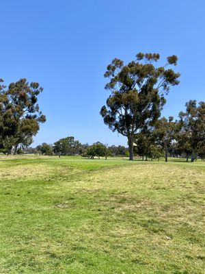 BALBOA PARK GOLF COURSE - 117 Photos & 145 Reviews - 2600 Golf Course ...