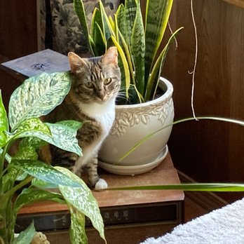 NEVADA HUMANE SOCIETY - 158 Photos & 120 Reviews - 2825 Longley Ln ...