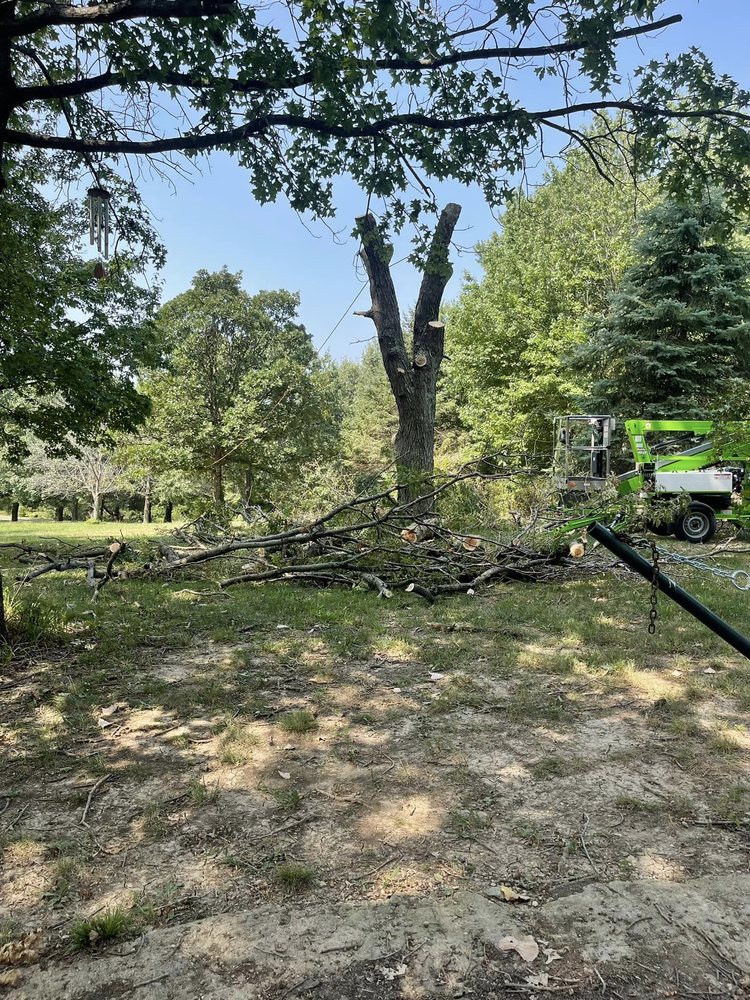 ELITE TREE CARE - Updated October 2025 - 35 Photos - Kansas City ...