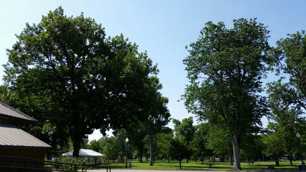 ISLAND GROVE REGIONAL PARK - Updated June 2025 - 501 N 14th Ave ...