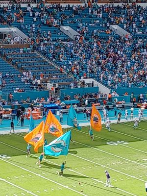 MIAMI DOLPHINS - Updated December 2024 - 69 Photos - 7500 SW 30th St ...
