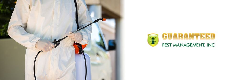 GUARANTEED PEST MANAGEMENT - Updated July 2025 - Baltimore, Maryland ...