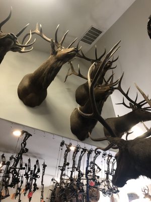 THE BOW RACK - Updated August 2025 - 11 Photos & 21 Reviews - 392 Q St ...