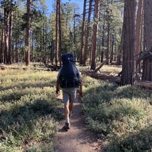 BEEBE FAMILY ARMS & MUNITIONS - 69 Photos & 52 Reviews - 1454 N Hill ...