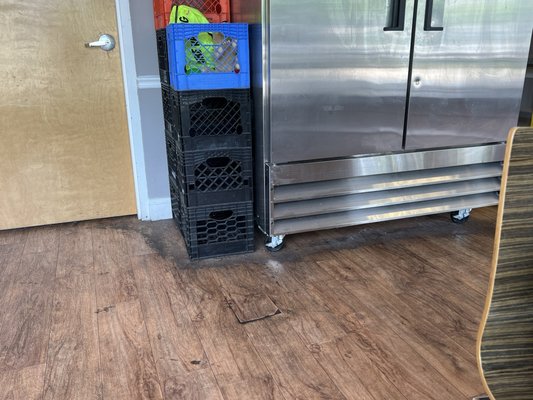 YOTALITY - Updated August 2025 - 67 Photos & 53 Reviews - 5759 Main St ...