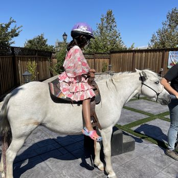 THE DINGLE FAMILY FARM AND STABLES - Updated April 2025 - 554 Photos ...