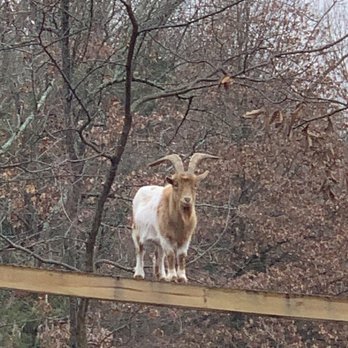 MESSICK’S FARM MARKET - Updated September 2024 - 140 Photos & 85 ...