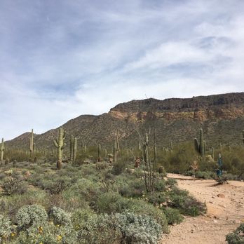 USERY MOUNTAIN REGIONAL PARK - Updated October 2025 - 275 Photos & 97 ...