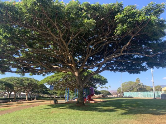 WAIKELE COMMUNITY PARK - Updated December 2025 - 44 Photos & 14 Reviews ...