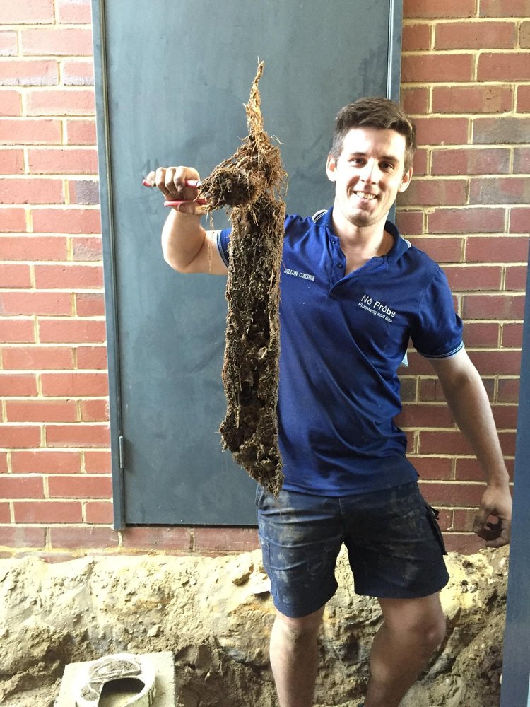 NO PROBS PLUMBING - Updated February 2025 - 3/52 Roberts St, Osborne ...