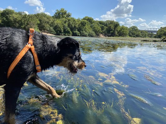 ROY G GUERRERO COLORADO RIVER PARK - Updated August 2024 - 44 Photos ...