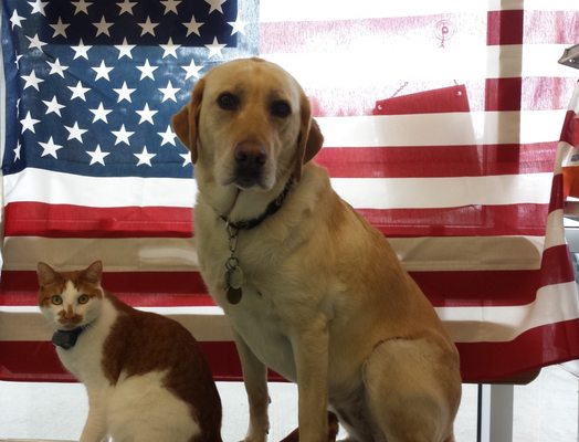 LAKE STEVENS ANIMAL HOSPITAL - Updated May 2024 - 12 Photos & 26 ...