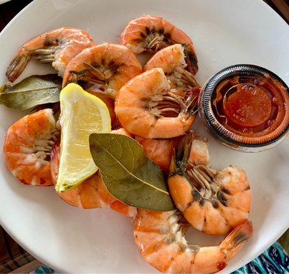 DEAD DOG SALOON - 966 Photos & 1079 Reviews - 4079 US17 Business ...