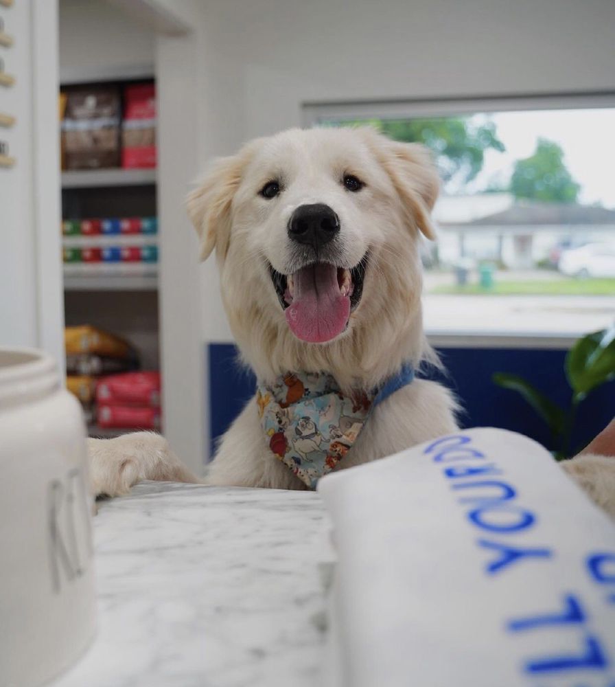 WHAT’S UP DOG HTX - Updated January 2026 - 10 Reviews - 2071 Antoine Dr ...