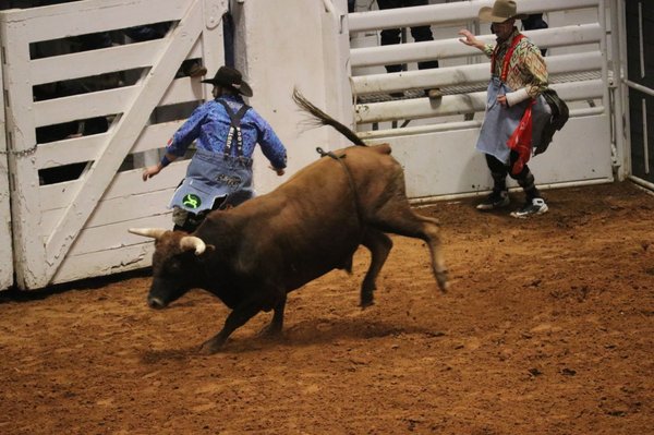 FORT WORTH STOCK SHOW & RODEO - 257 Photos & 64 Reviews - Rodeo - 3400 ...