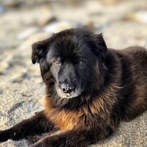 DUFFY’S TAVERN & FAMILY RESTAURANT - 85 Photos & 193 Reviews - 282 High ...