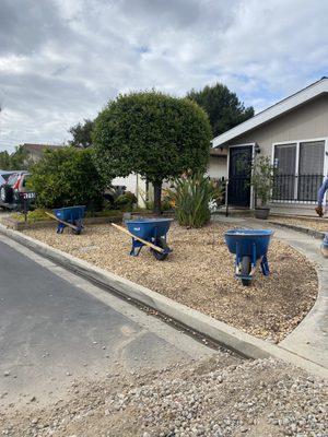 BIG BULLY TURF - 23 Photos & 15 Reviews - 350 Tenth Ave, San Diego ...